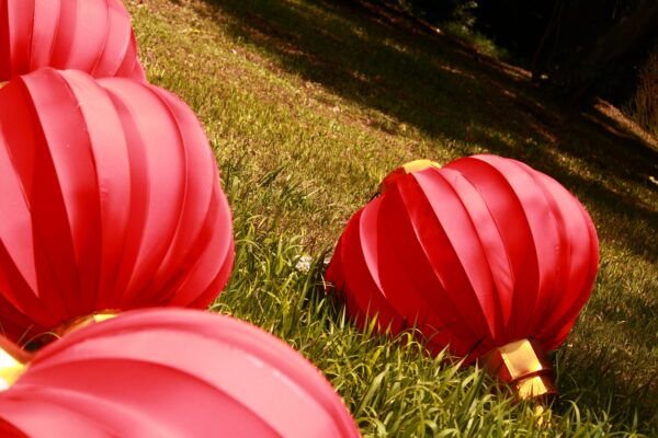 Balloon Arch vs. Balloon Garland: Which One Is Right for Your Party ...